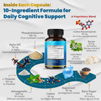 support cognitive function with Vegatot