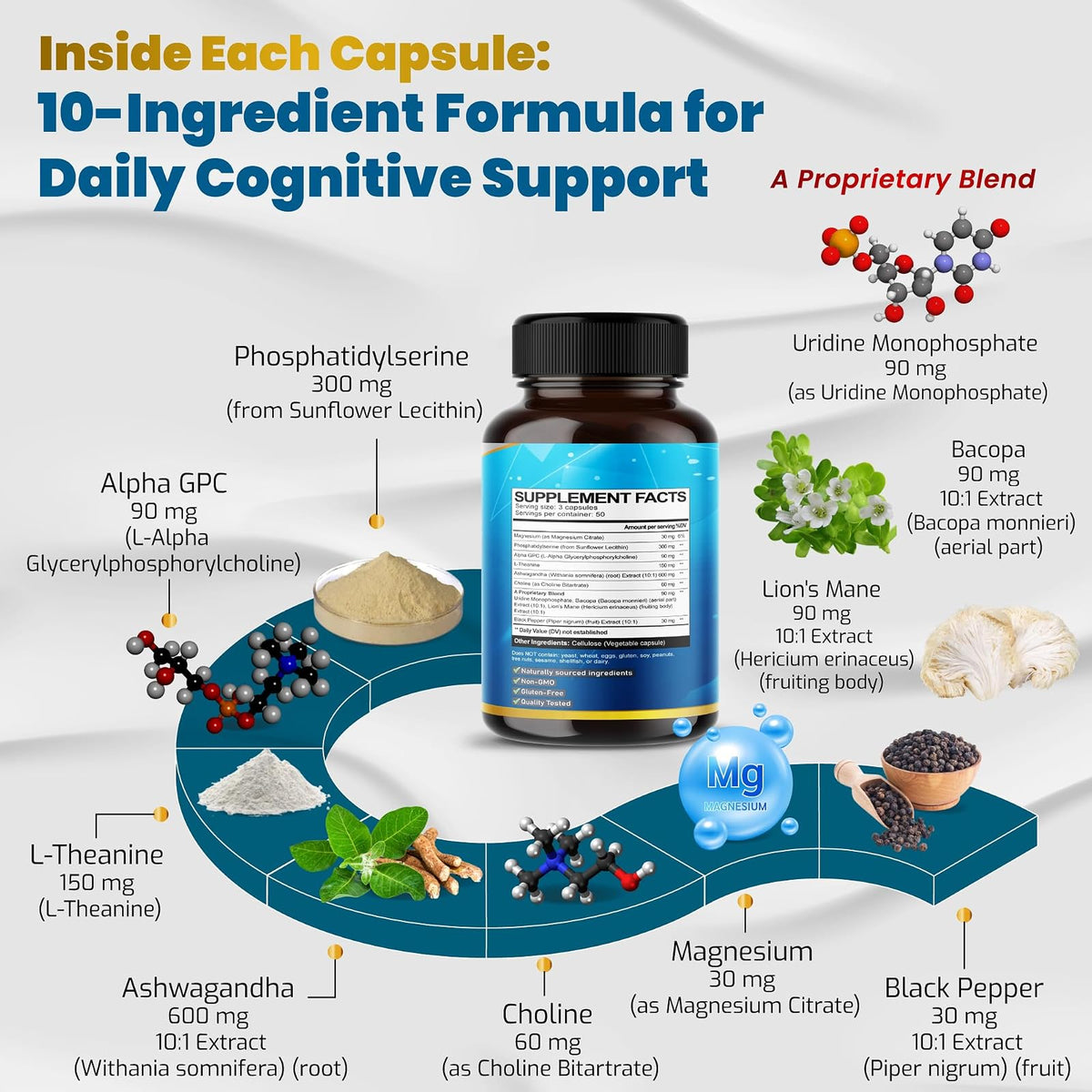 support cognitive function with Vegatot