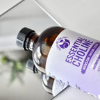 Support cognitive health with choline