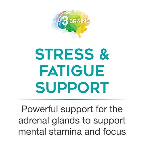 support cognitive health with natural factors