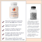 support conception with prenatal vitamins
