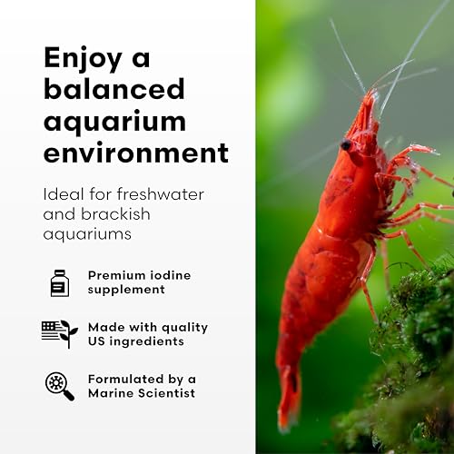Support crustacean growth with iodine