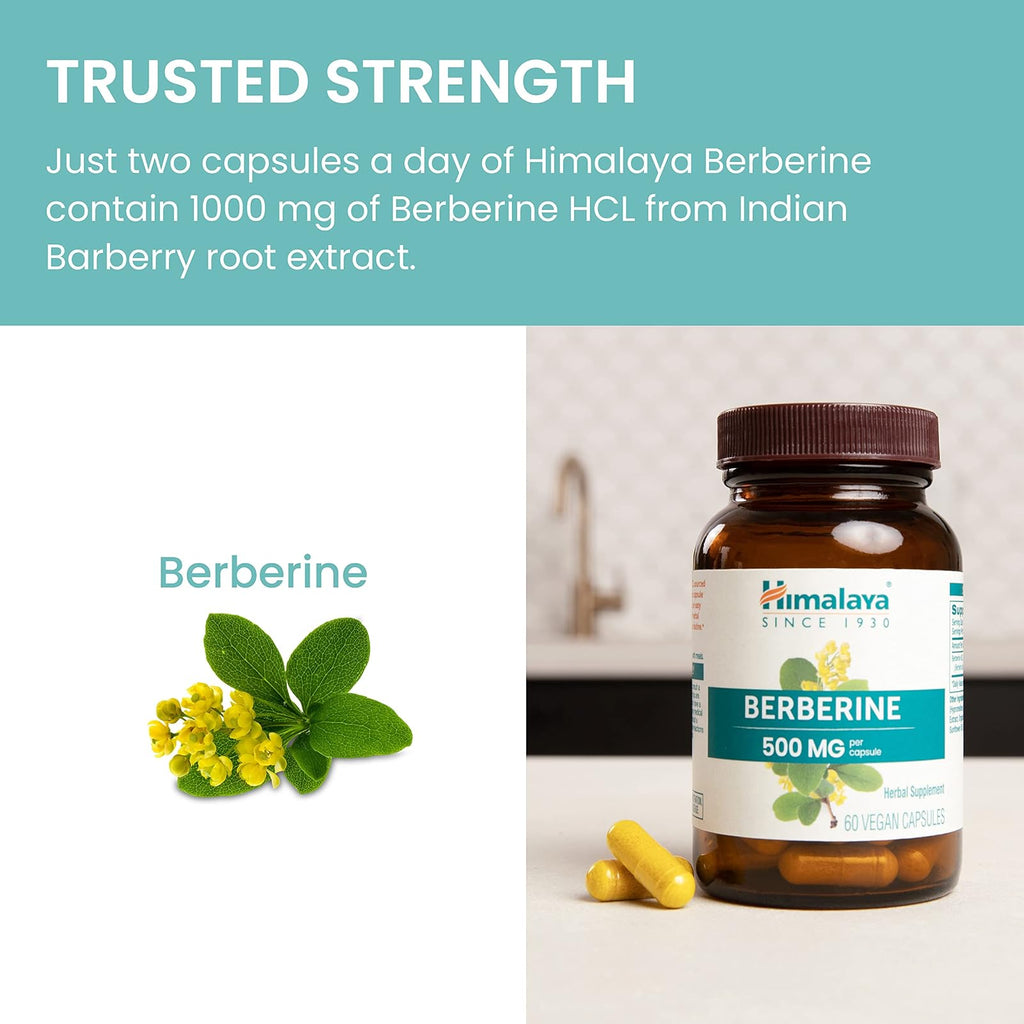 support digestion with berberine HCL