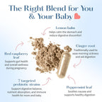 support digestive health during pregnancy