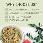 support digestive health multivitamins