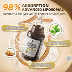 support digestive health naturally