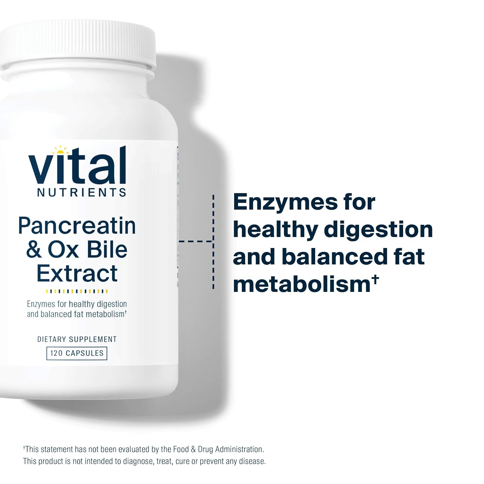 support digestive health naturally