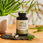 support digestive health naturally