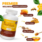 support digestive health naturally
