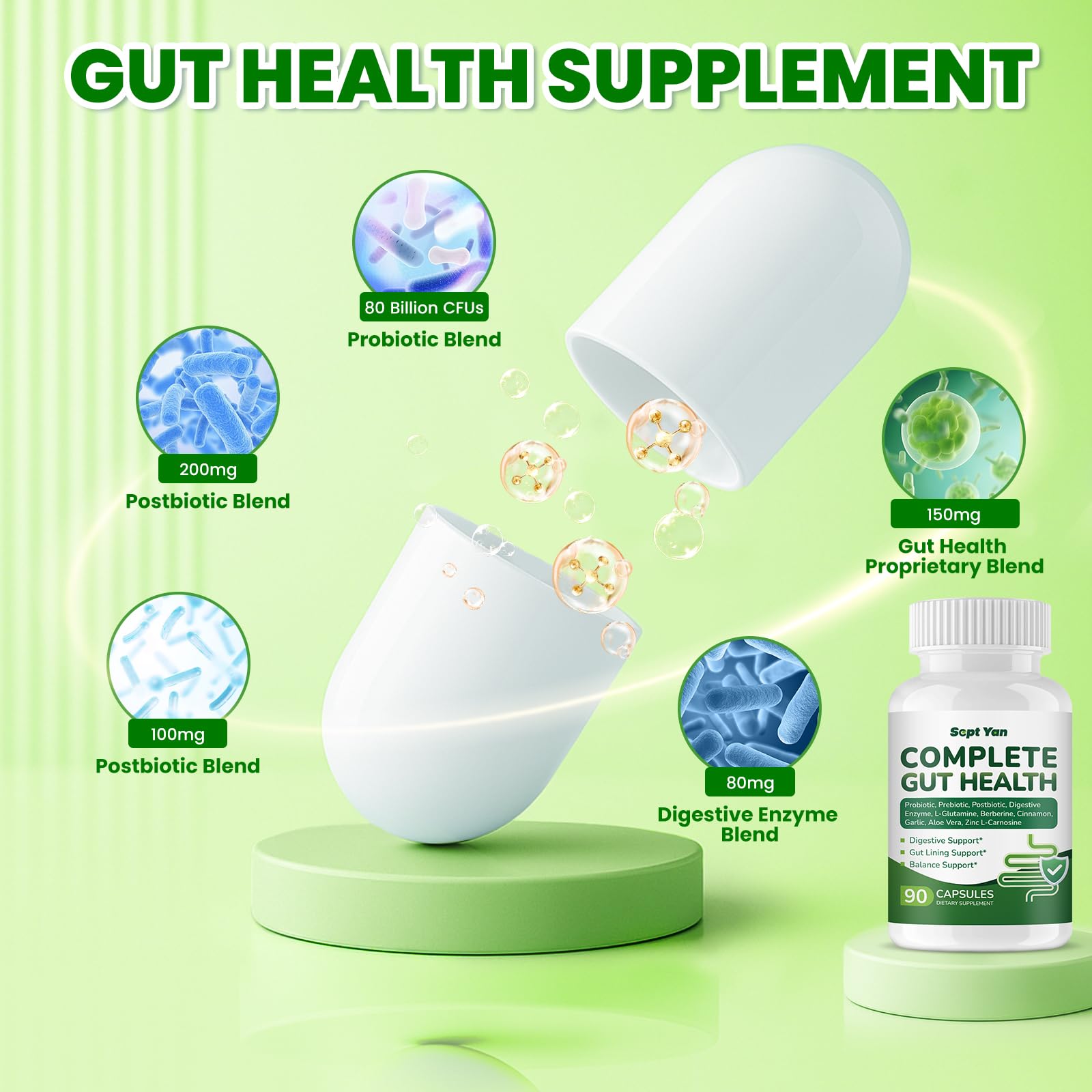 support digestive health naturally