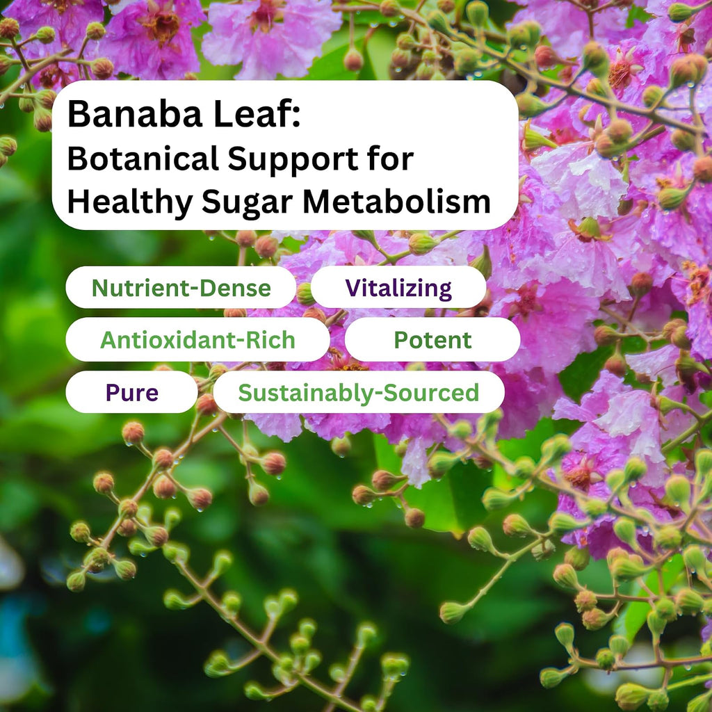 Support digestive health with Banaba