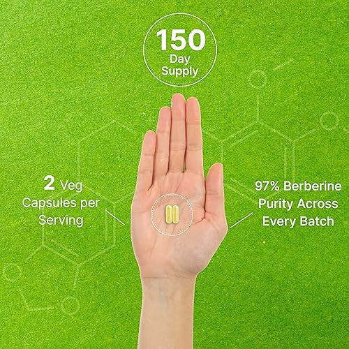 support digestive health with berberine