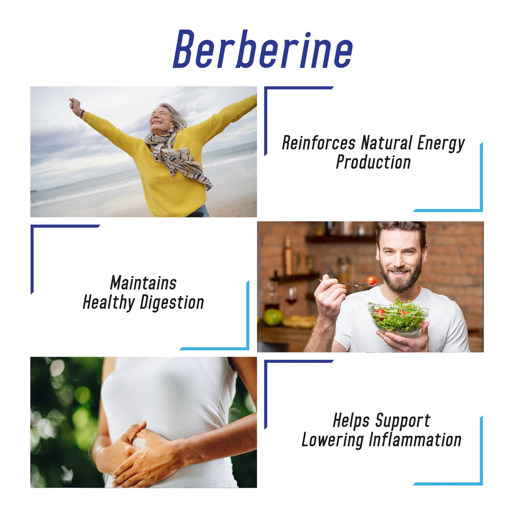 support digestive health with berberine