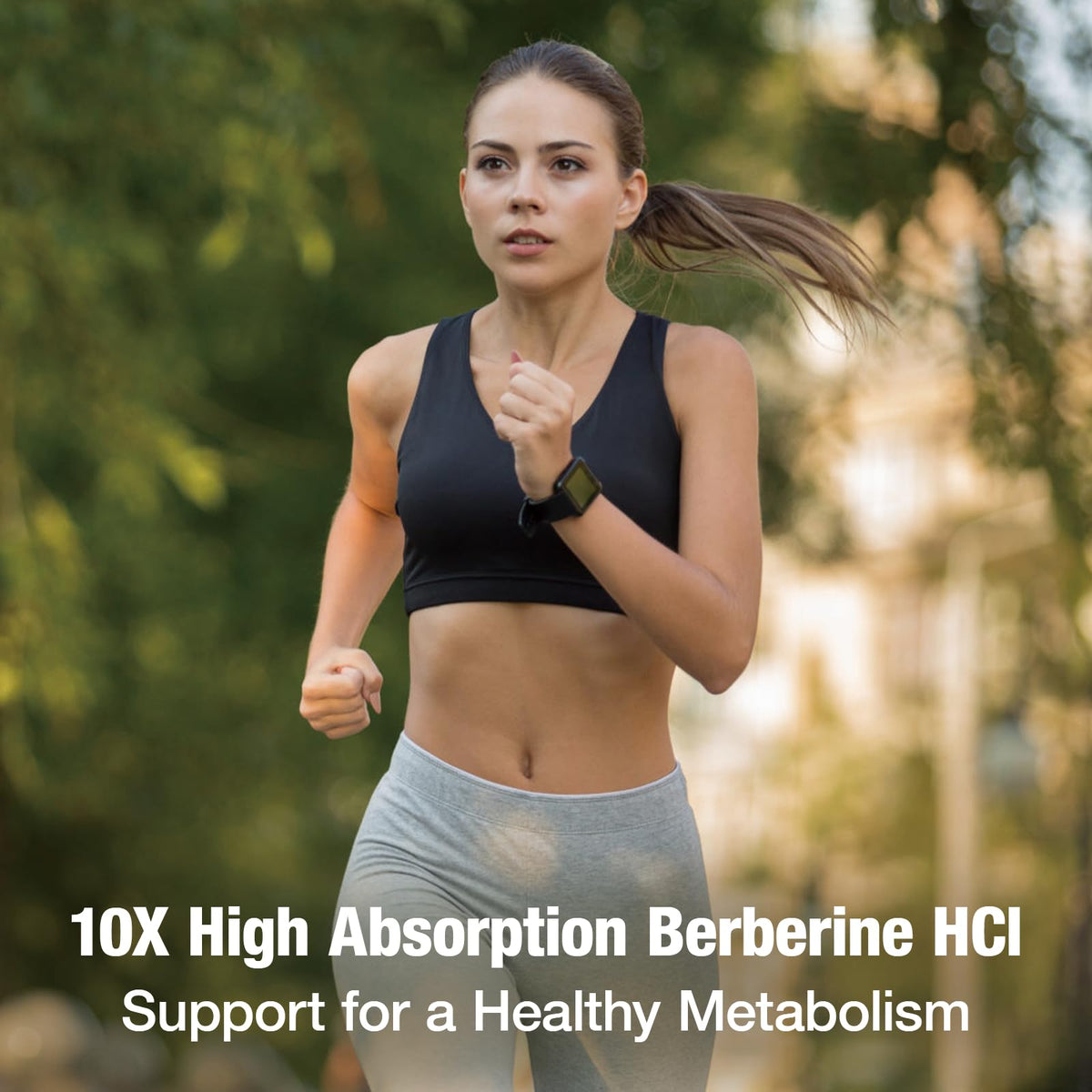 support digestive health with berberine