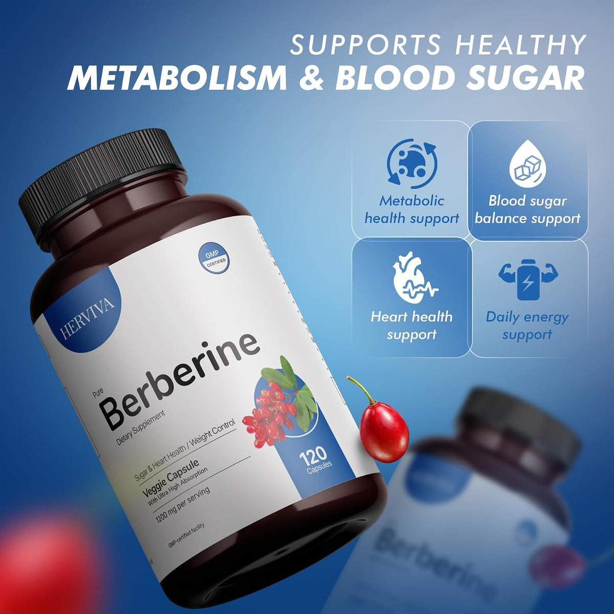 support digestive health with berberine