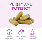 support digestive health with berberine