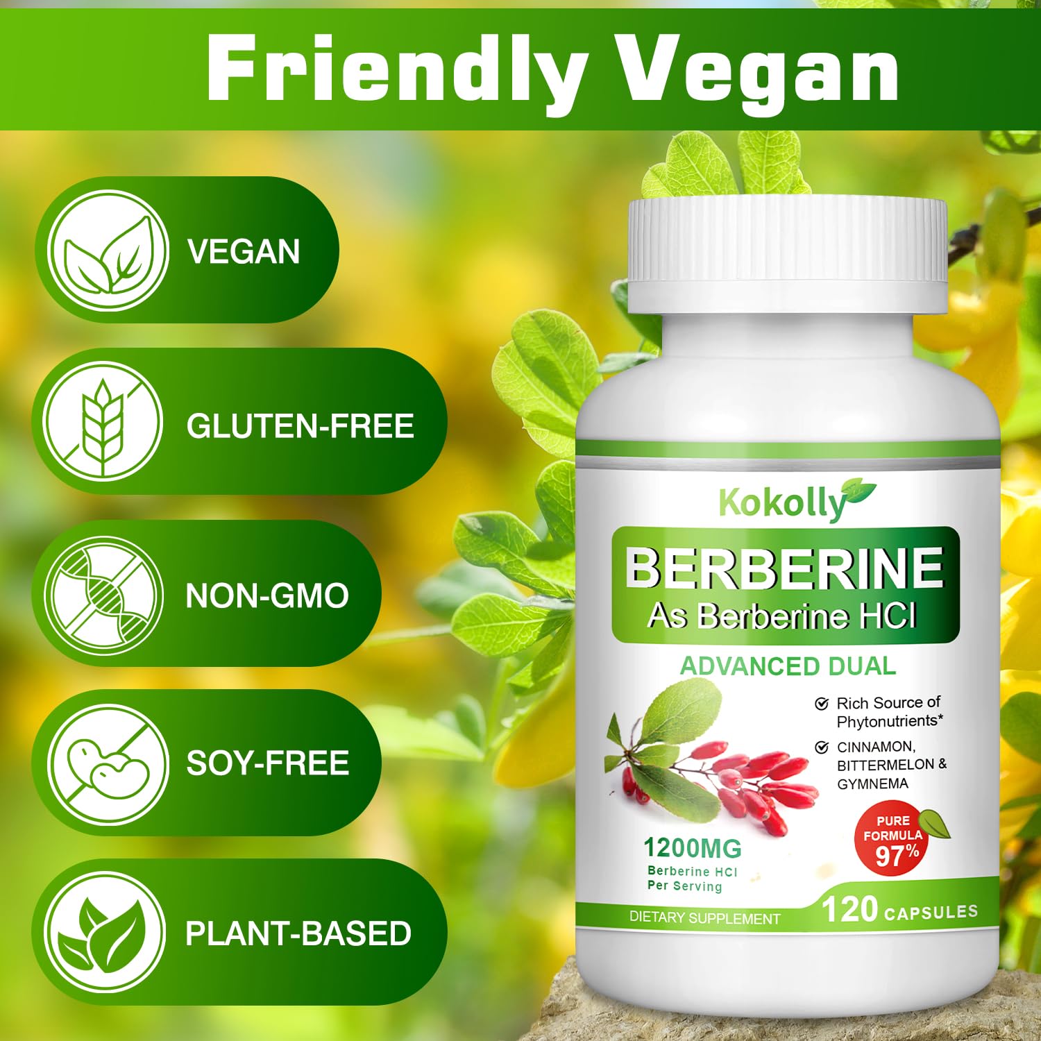 support digestive health with berberine
