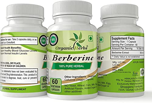 support digestive health with berberine