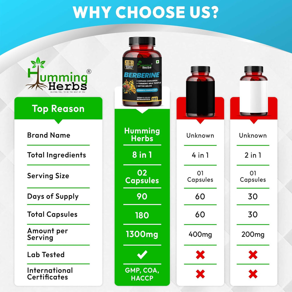 support digestive health with berberine