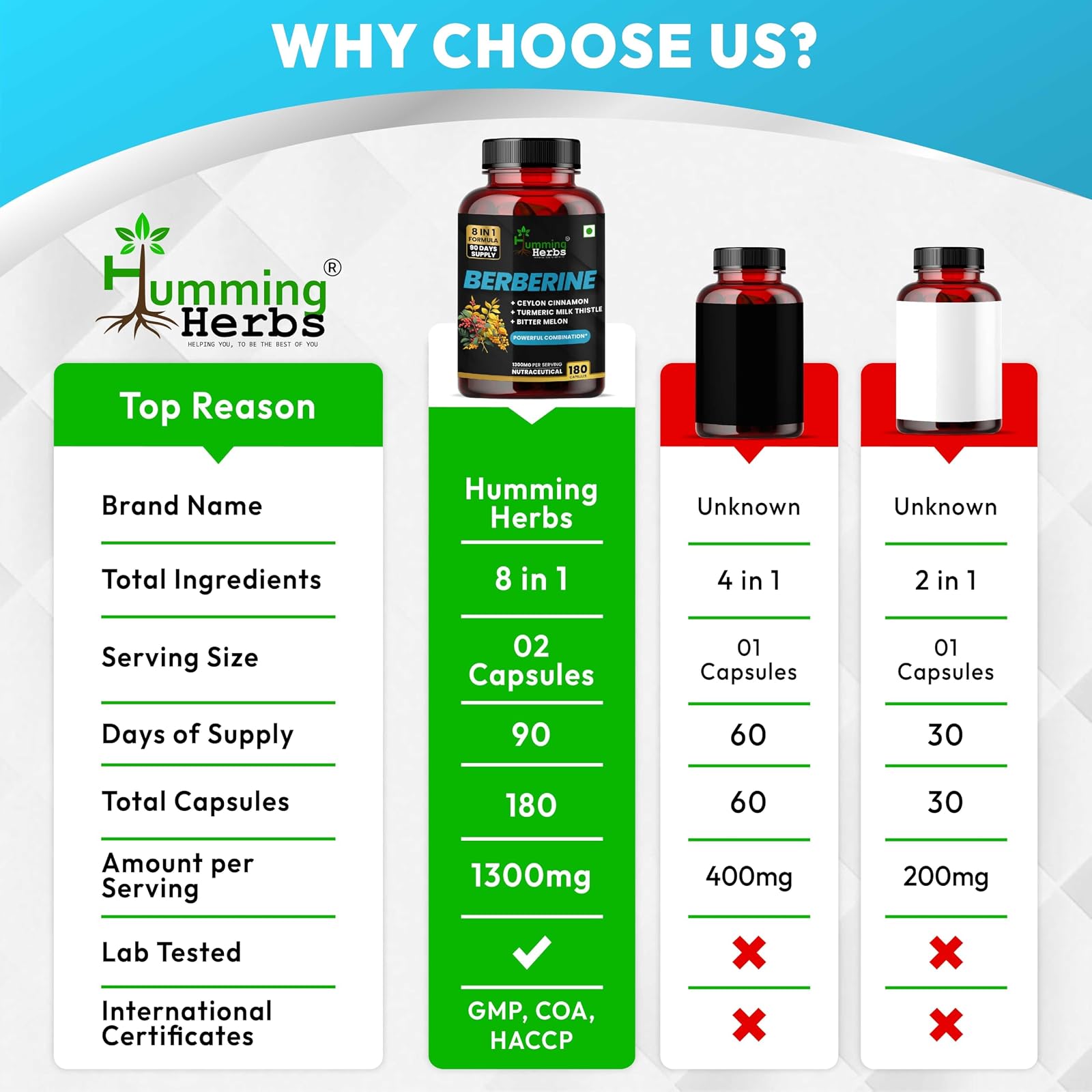 support digestive health with berberine