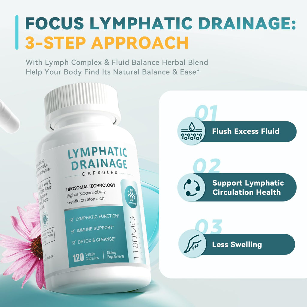 support digestive health with echinacea