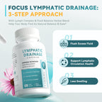 support digestive health with echinacea