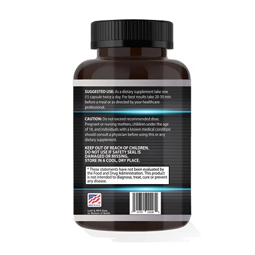 support digestive health with enzymes