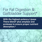 support digestive health with enzymes