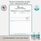 support digestive health with enzymes
