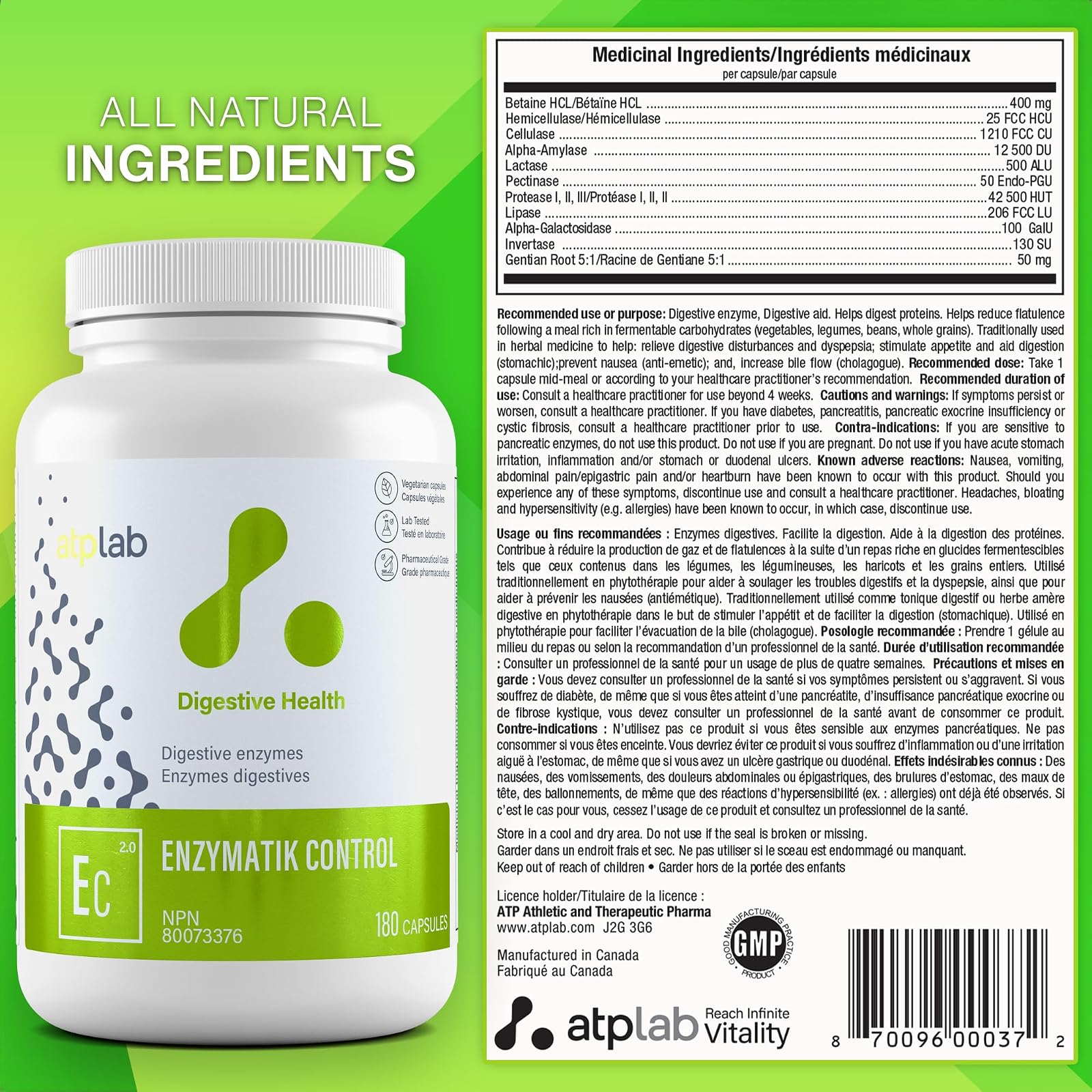 support digestive health with enzymes