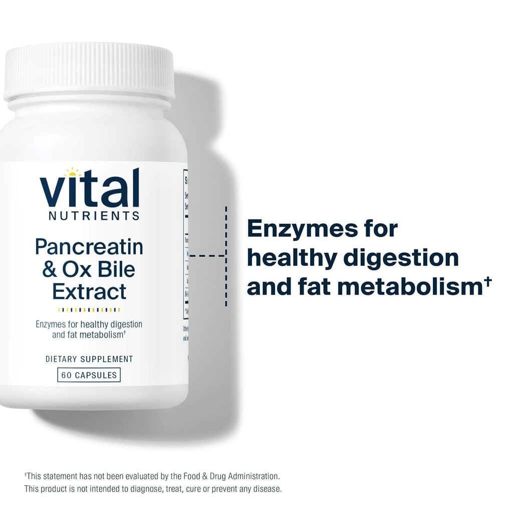 support digestive health with enzymes