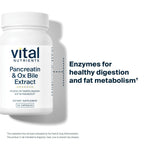 support digestive health with enzymes