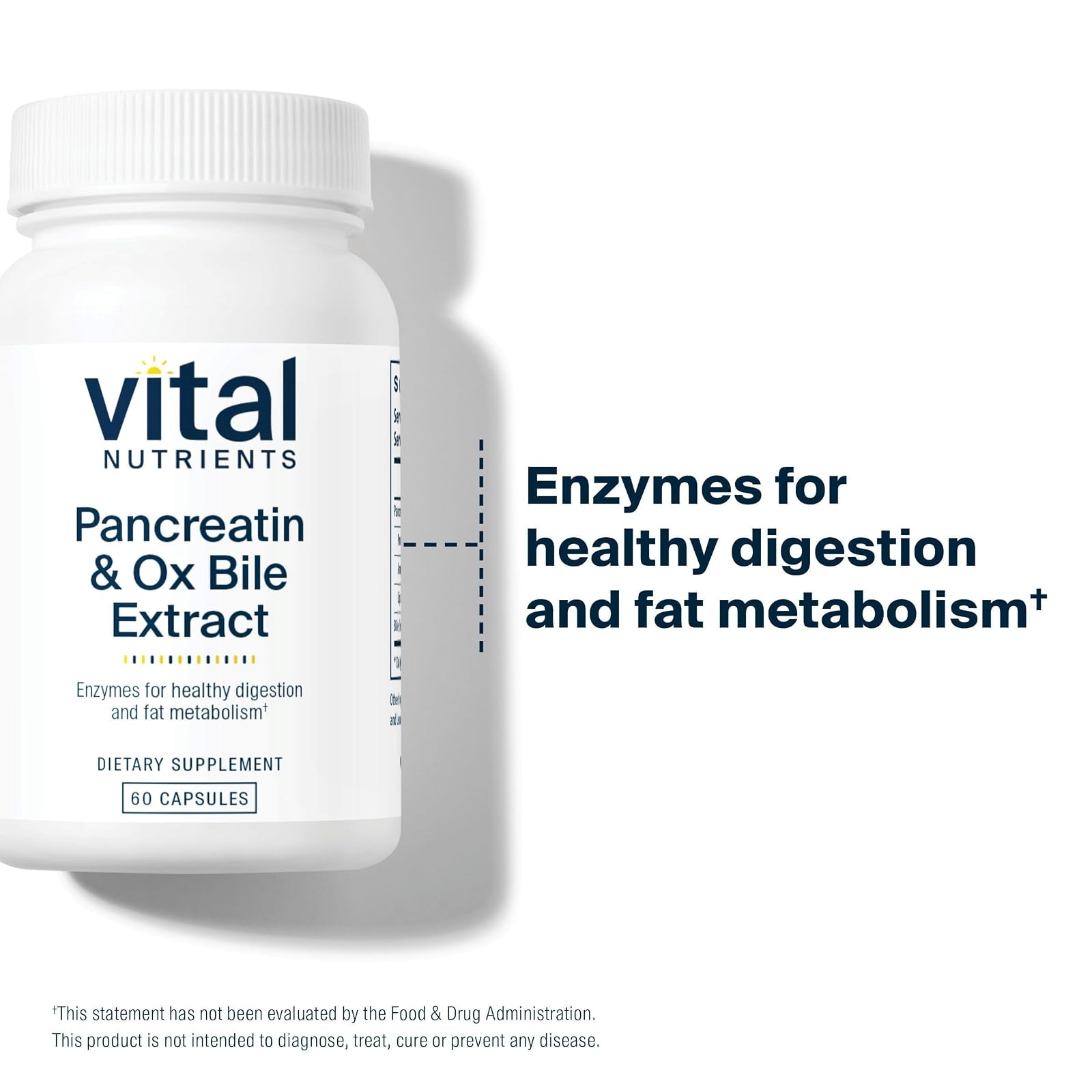 support digestive health with enzymes