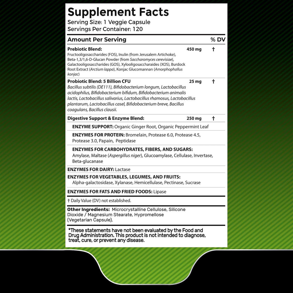 support digestive health with enzymes