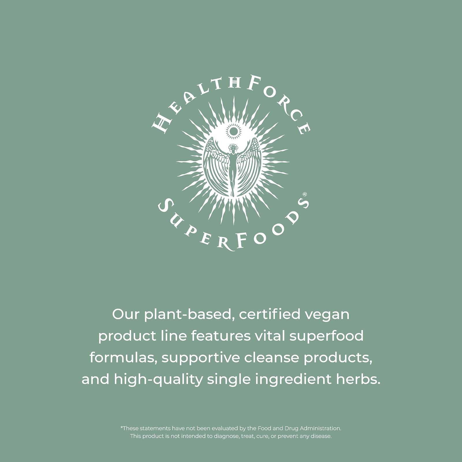 support digestive health with enzymes