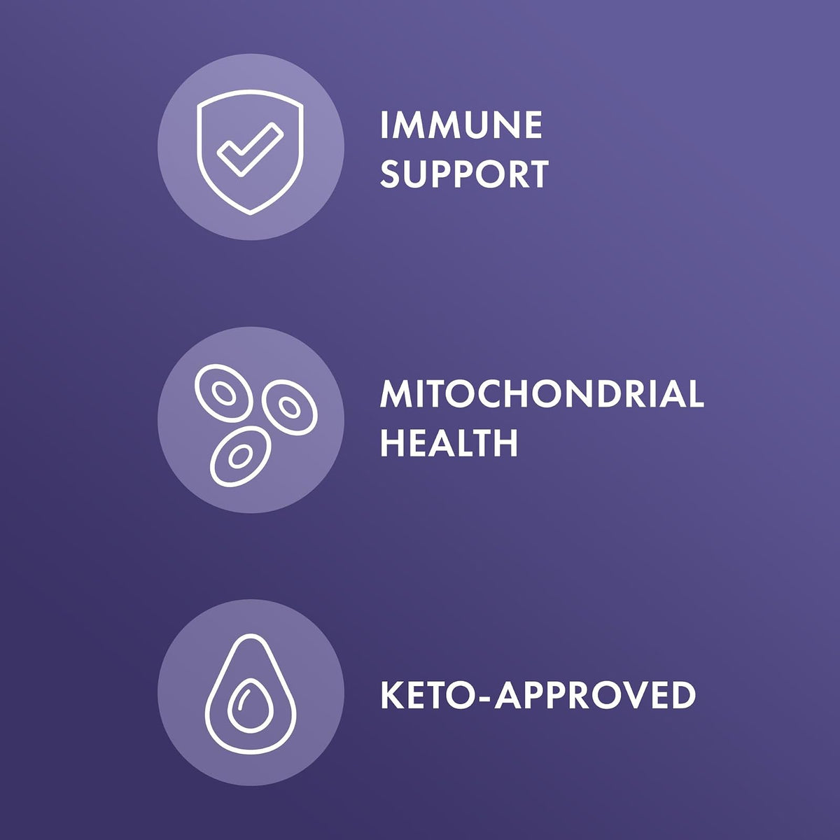 support digestive health with enzymes