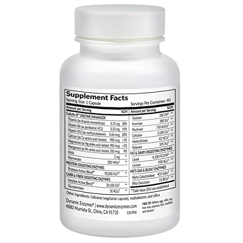 support digestive health with enzymes
