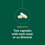support digestive health with enzymes