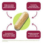 support digestive health with enzymes