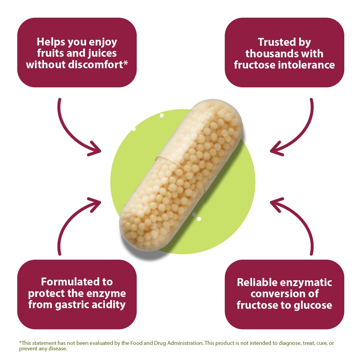 support digestive health with enzymes