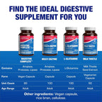 support digestive health with enzymes