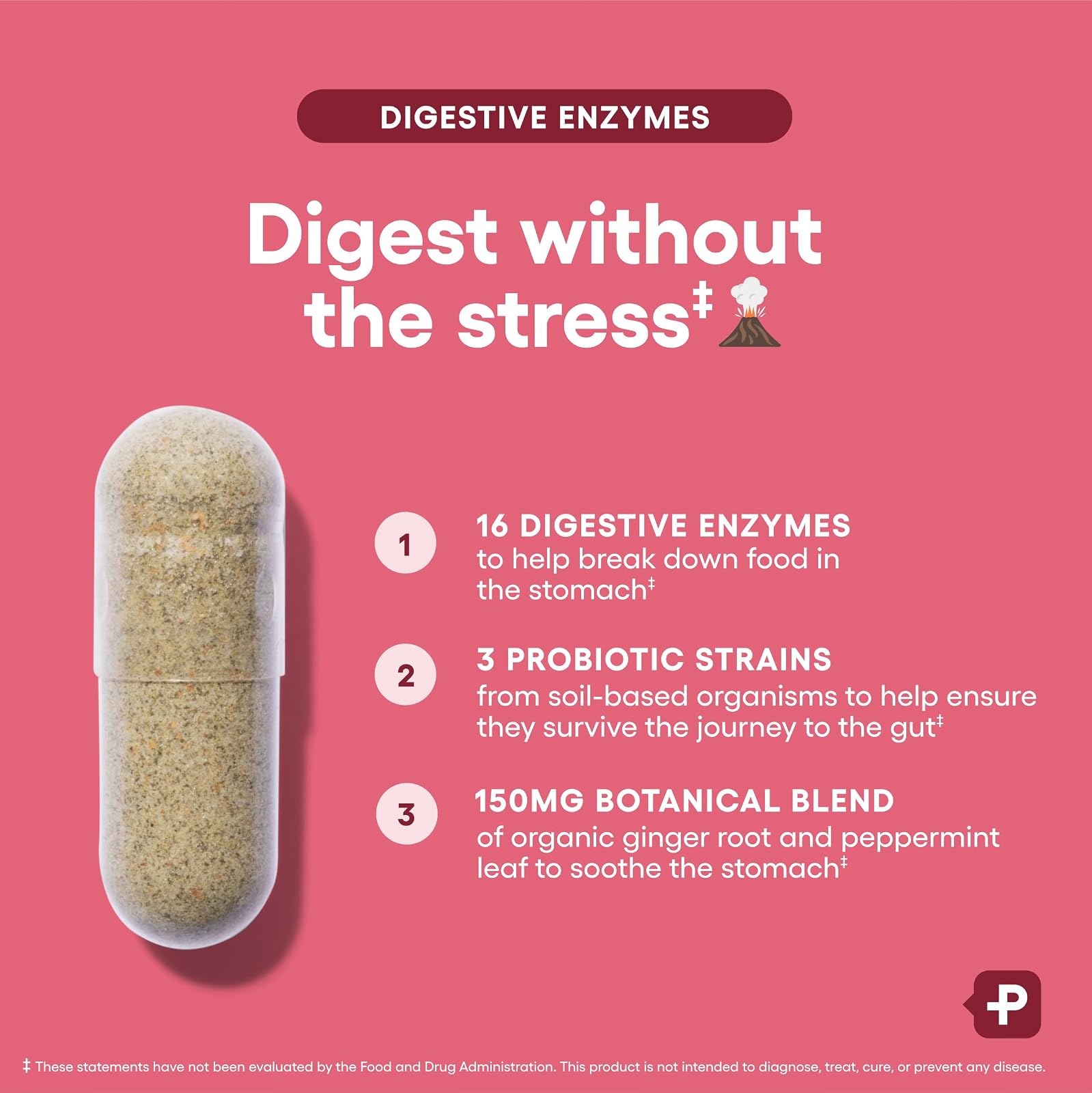 support digestive health with enzymes