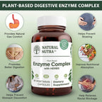 support digestive health with enzymes