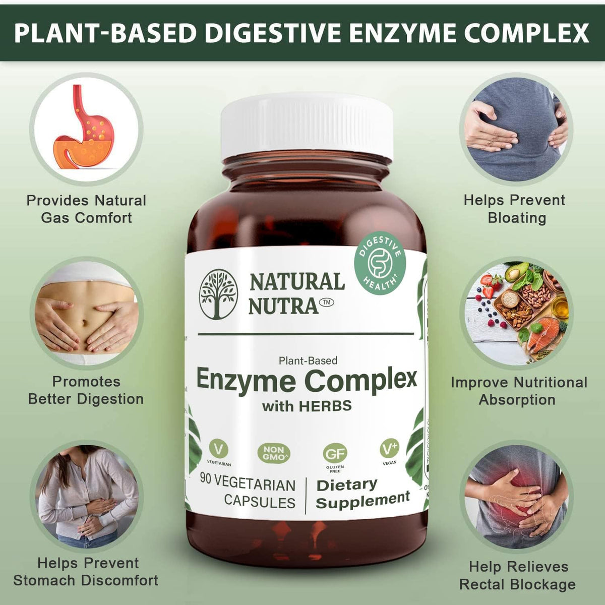 support digestive health with enzymes