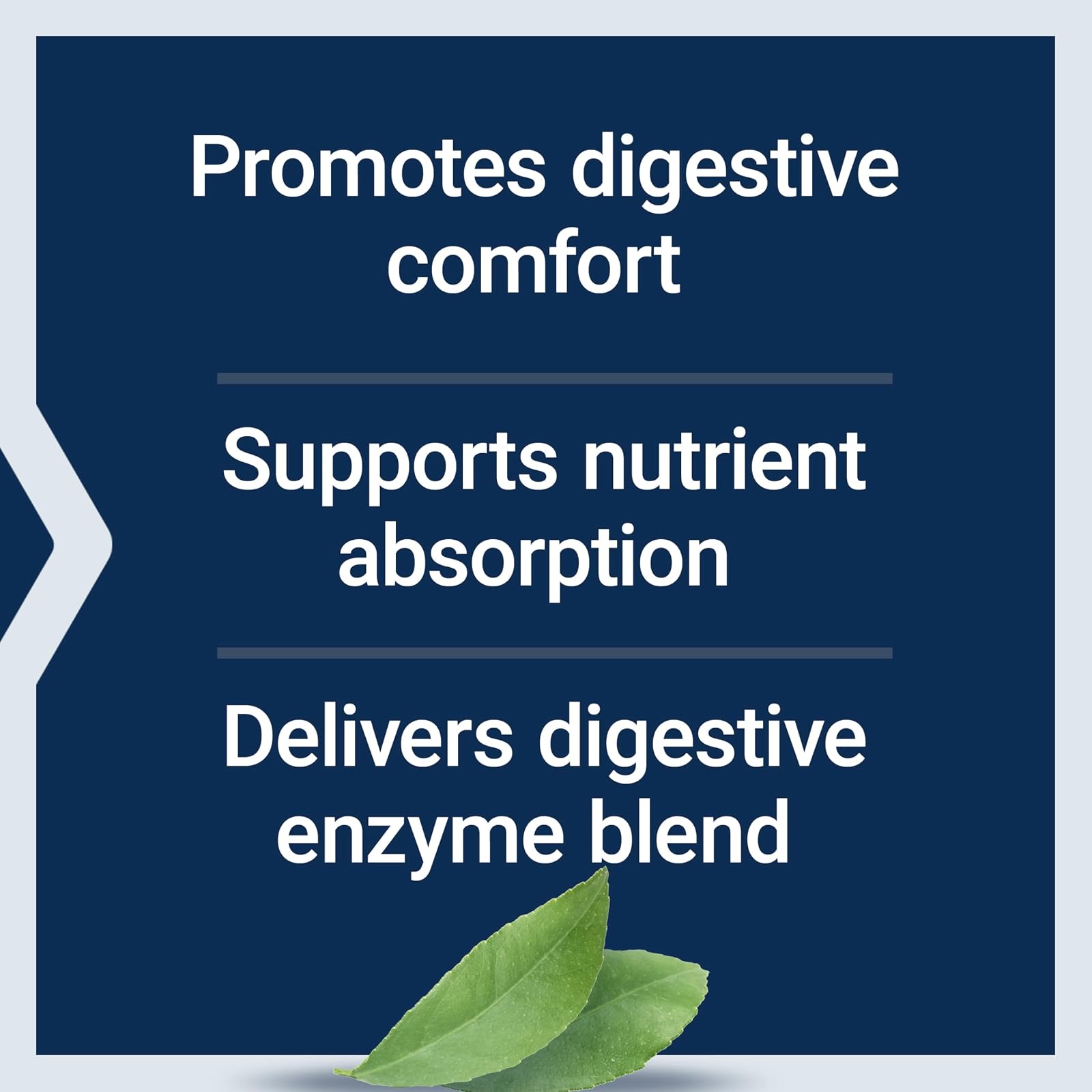 support digestive health with enzymes