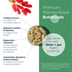 support digestive health with enzymes