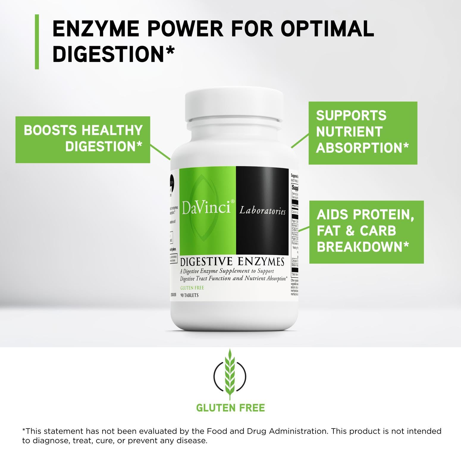 support digestive health with enzymes