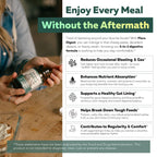 support digestive health with enzymes