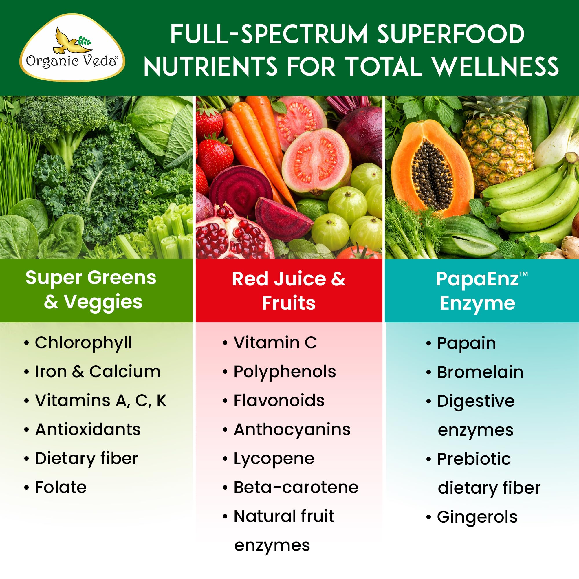 support digestive health with enzymes