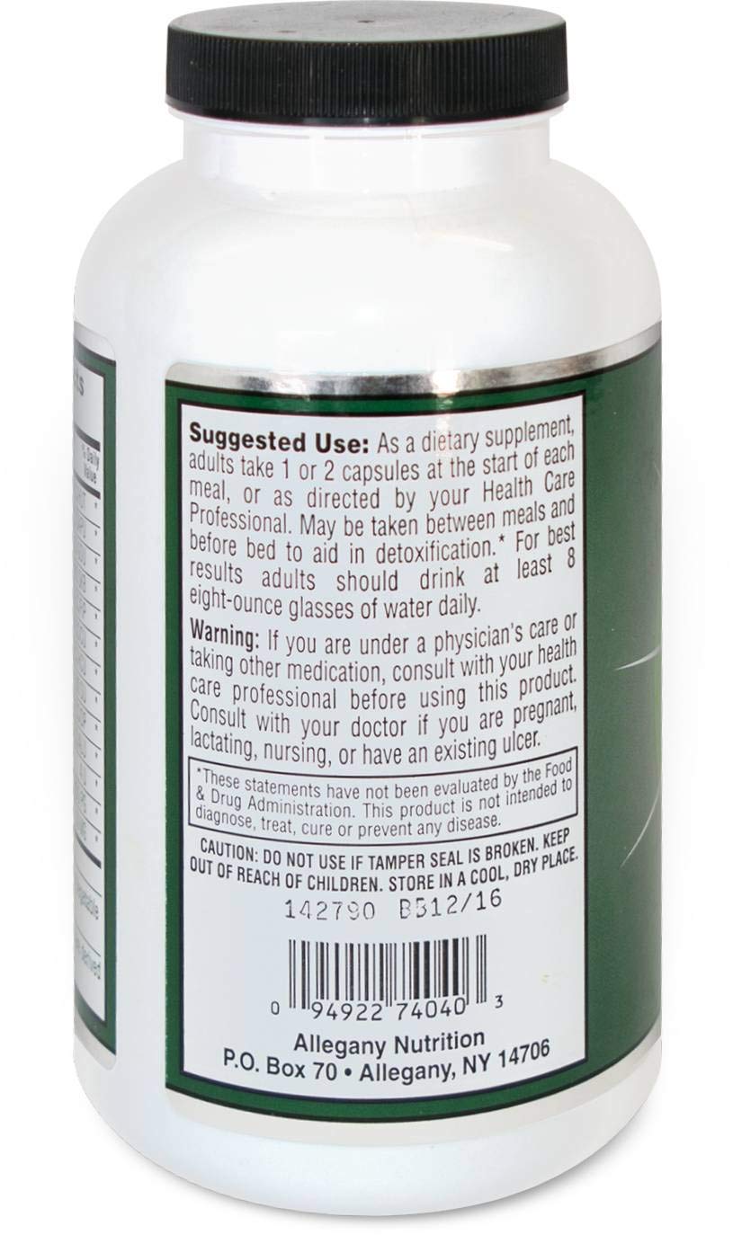 support digestive health with enzymes